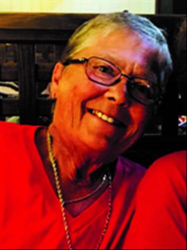 Leslie Ann Wallen | News, Sports, Jobs - Post Journal